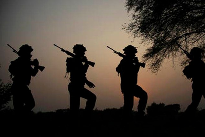 Unclear if Operation Ginger was surgical strike or ambush: Defence ...