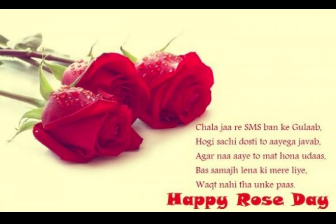 Happy Rose Day 2017: SMS, Quotes, WhatsApp, Facebook Messages for Your ...