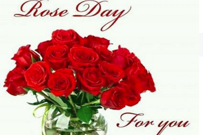 Happy Rose Day 2017: SMS, Quotes, WhatsApp, Facebook Messages for Your ...