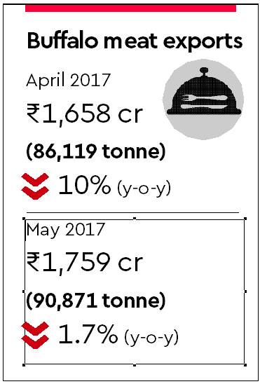 Buffalo meat exports: After steep fall, numbers rise slowly after Uttar ...