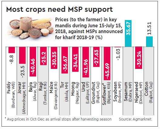 MSP hike an expensive policy? Market prices way below new minimum ...