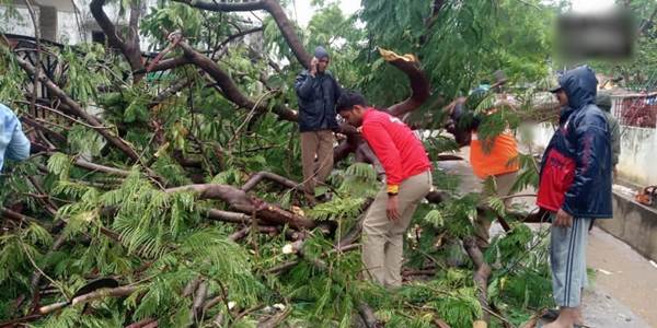 Cyclone Phethai Updates: Severe cyclonic storm makes landfall in East ...