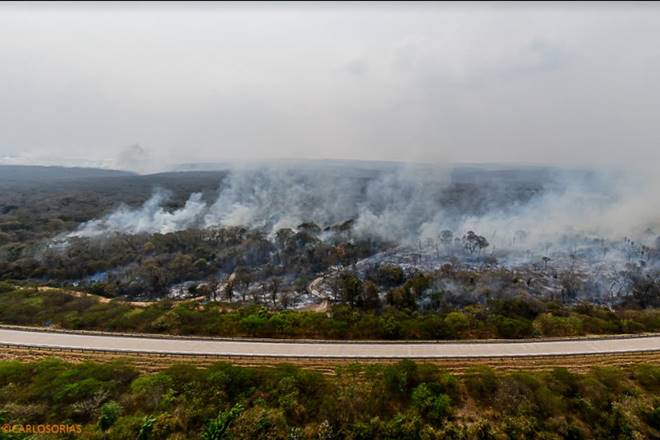 Bolivia’s electoral campaign caught fire, as forest fire rages out of ...