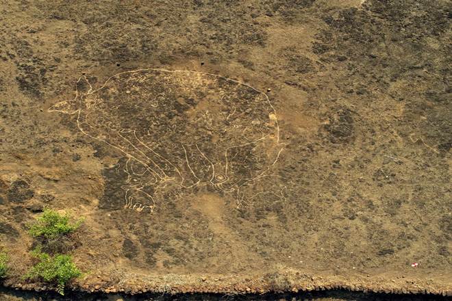 Discovery of rock carvings in Maharashtra: A testimony to ancient ...