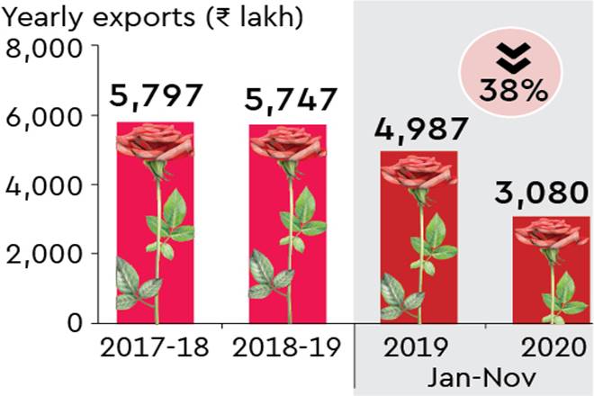Tough Love: Rose exports hit by pandemic, higher freight - Commodities ...